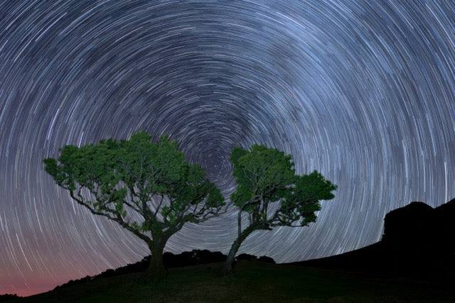 The DreamScape Collection